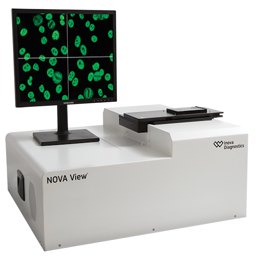 Autoimmunitet | Mediq